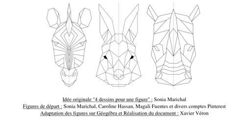 43 Animaux symétriques … une très belle ressource!
