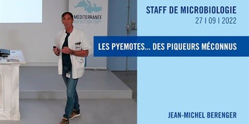 Les Pyemotes... Des piqueurs méconnus